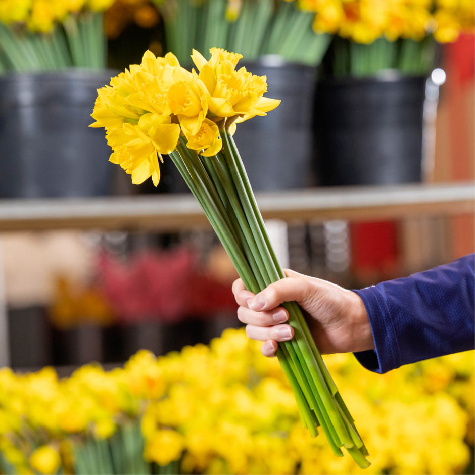 About our research – Cancer Council SA - Shop